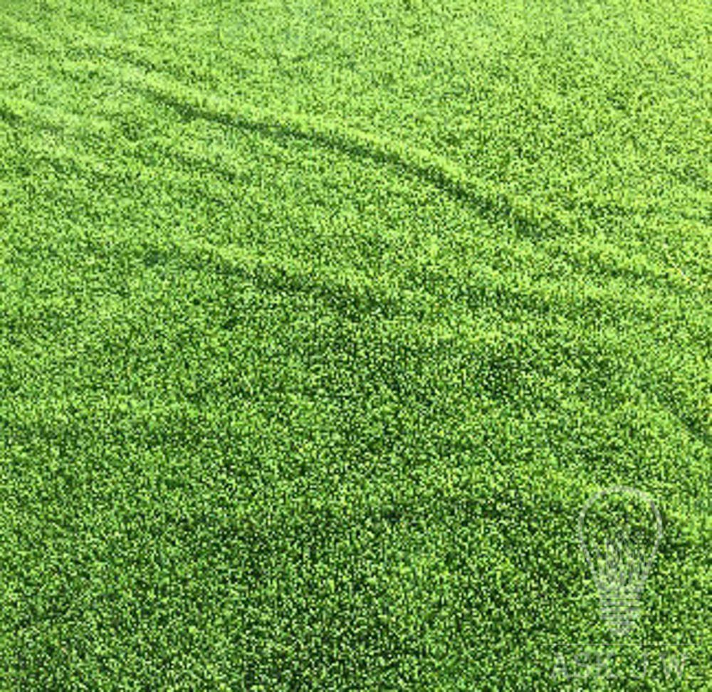 C&G Turf Installation Tips - Courts & Greens